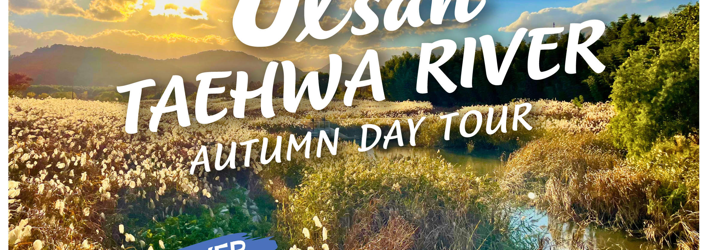 Memorable Autumn Foliage Day Tour from Busan - Klook
